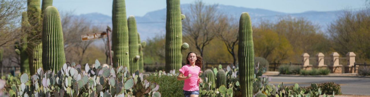 Community - Rancho Sahuarita